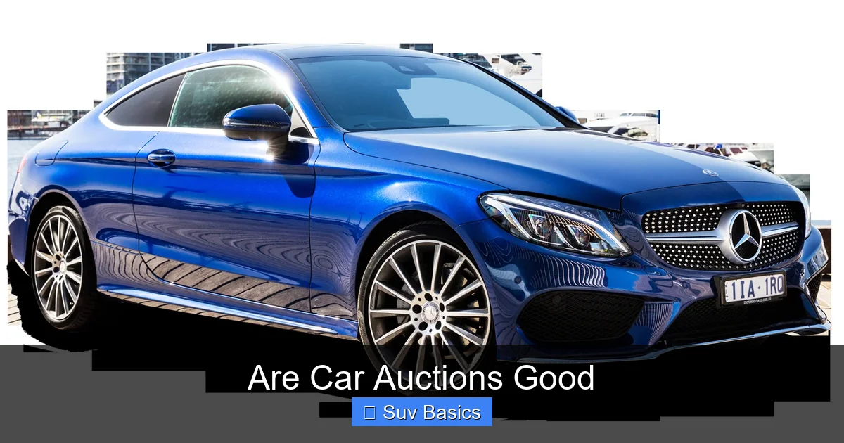 Are Car Auctions Good - Premium SUV