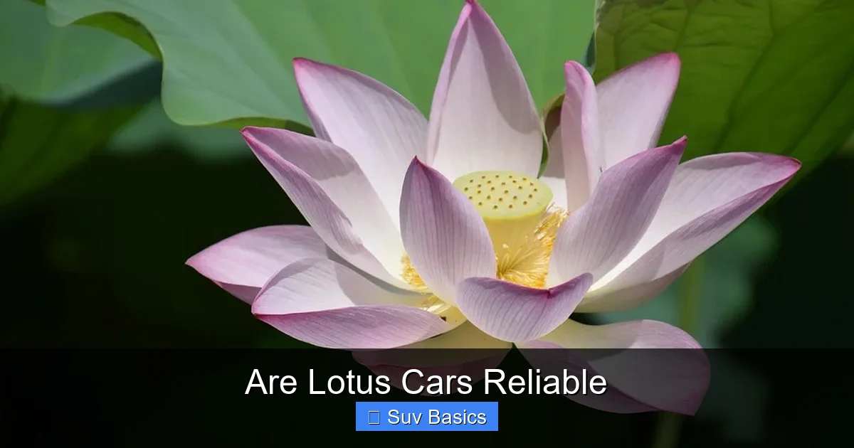 Are Lotus Cars Reliable - Premium SUV