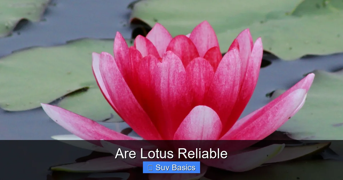 Are Lotus Reliable - Premium SUV