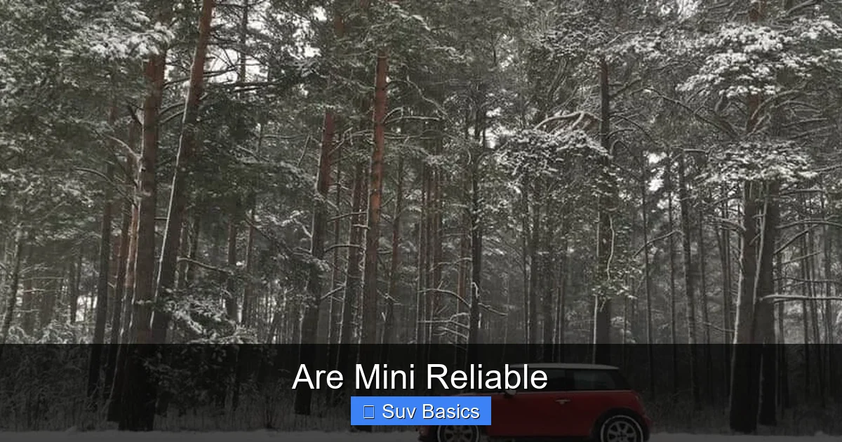 Are Mini Reliable - Premium SUV