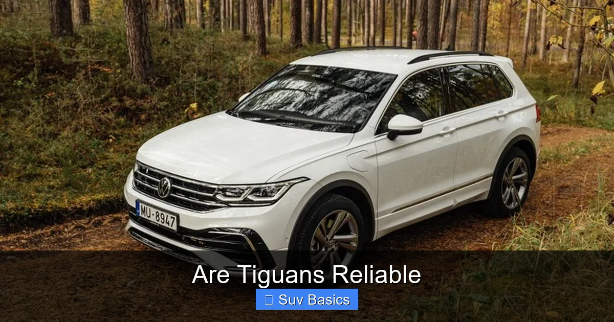 Are Tiguans Reliable - Premium SUV